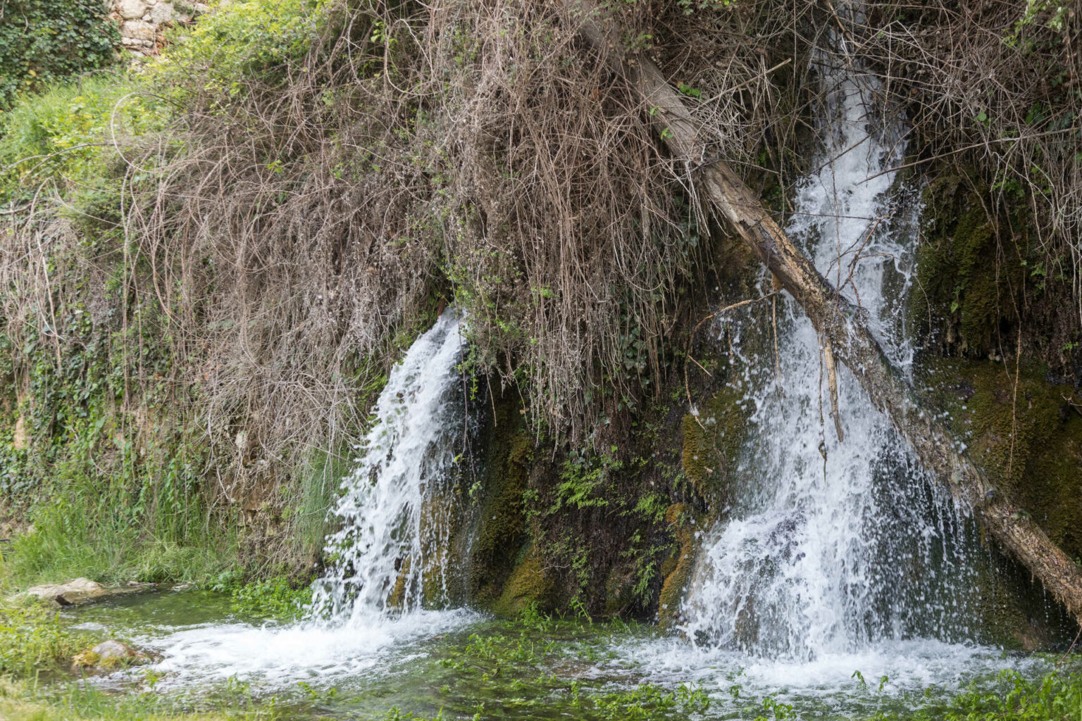 Qué ver en el Rincón de Ademuz, paraíso natural valenciano enclavado ...