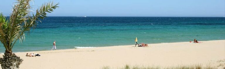 Las 6 mejores playas de Elche: aguas cristalinas entre dunas y pinares ...