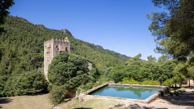 Qué ver en Alzira, ciudad milenaria de Valencia rodeada de naranjos ...