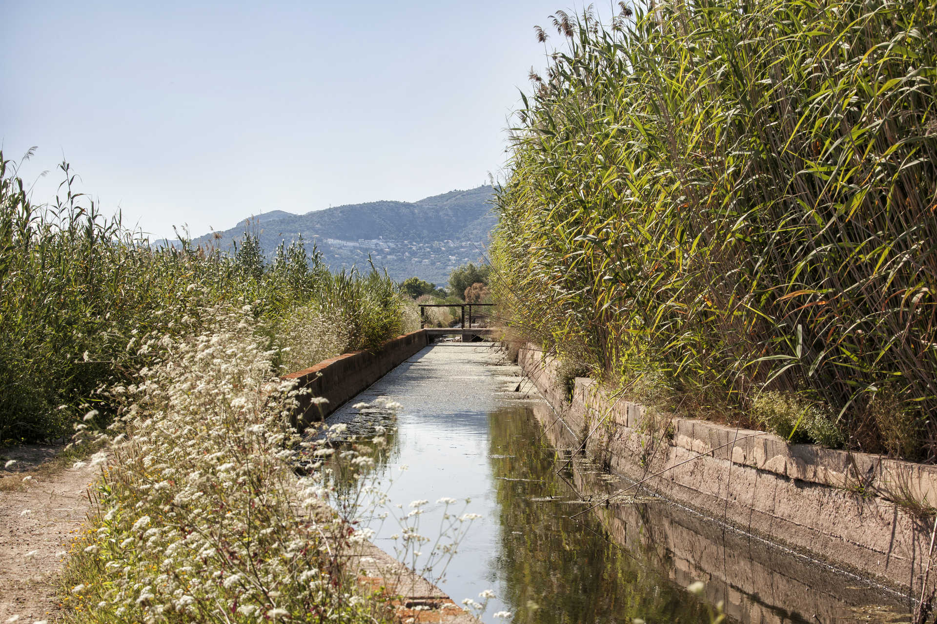 La playa de Puzol, una de las mejores y más tranquilas de Valencia ...